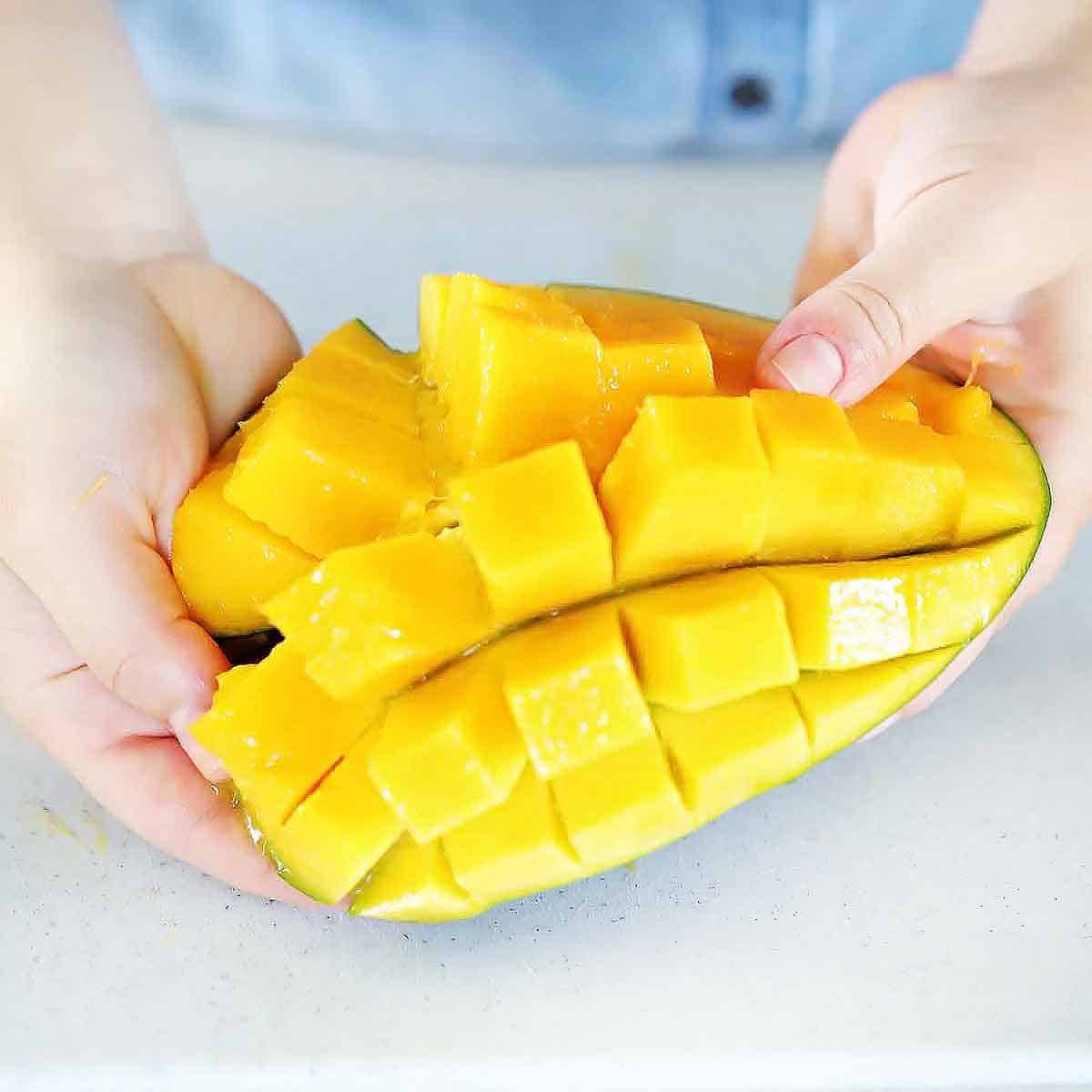 How To Cut A Mango Shop Loughaty How To Cut A Mango Shop Loughaty